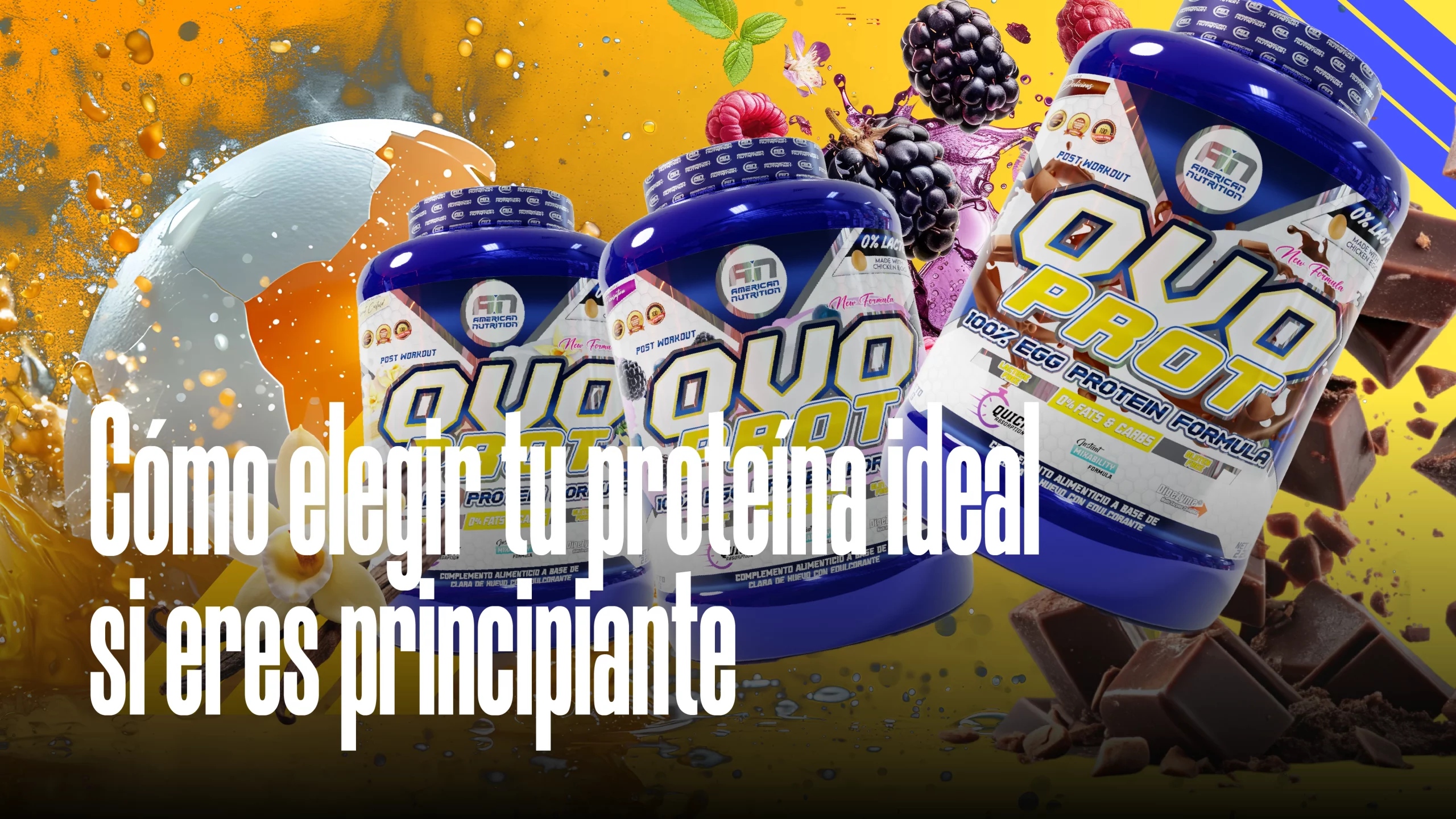 Cómo elegir tu proteína ideal si eres principiante - American Nutrition® Store